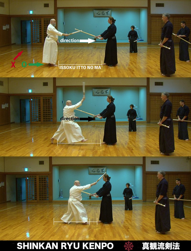 Kesagiri: Anatomy of A Sword Strike • Shinkan Ryū Kenpō