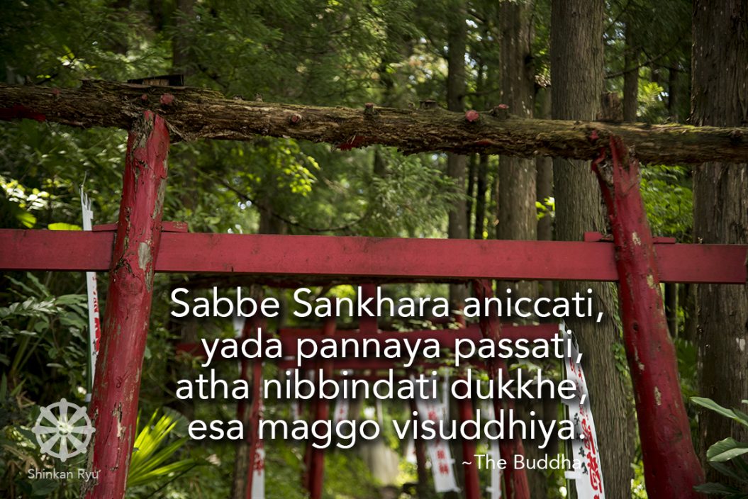 Kesagiri: Anatomy of A Sword Strike • Shinkan Ryū Kenpō