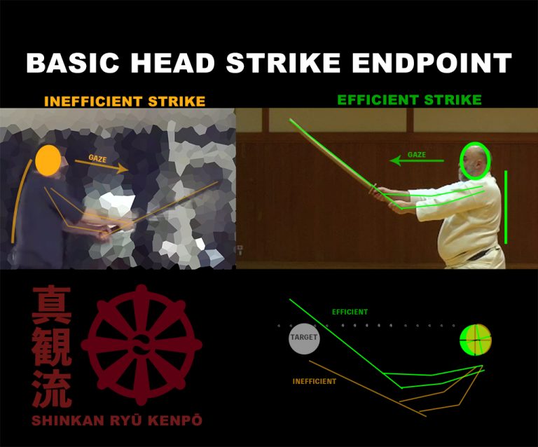 Kesagiri: Anatomy of A Sword Strike • Shinkan Ryū Kenpō