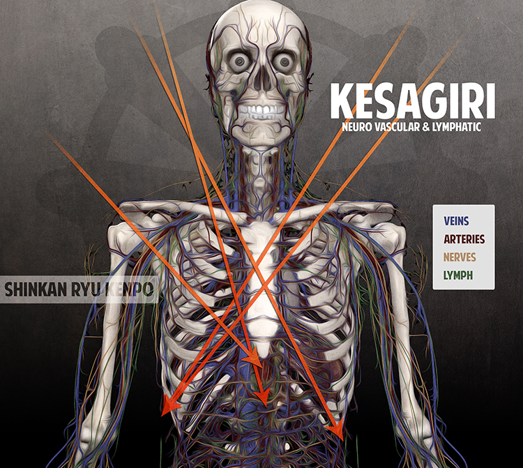 Kesagiri: Anatomy of A Sword Strike • Shinkan Ryū Kenpō