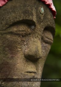 Mushin State of No Mind In Martial Arts • Shinkan Ryū Kenpō