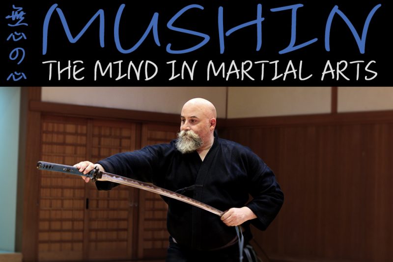 Mushin State of No Mind In Martial Arts • Shinkan Ryū Kenpō