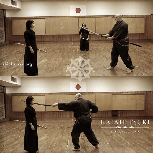 Kesagiri: Anatomy of A Sword Strike • Shinkan Ryū Kenpō