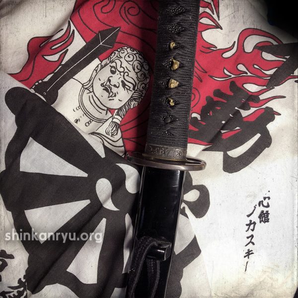 Kata: Classical Japanese Samurai Training Method • Shinkan Ryū Kenpō