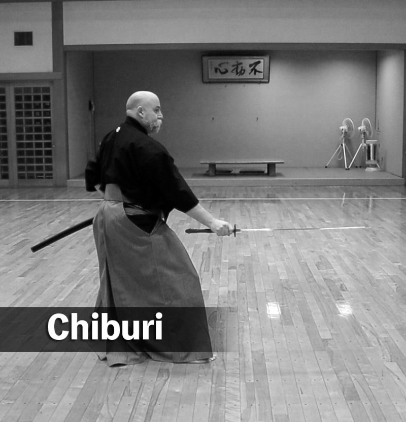 Iaijutsu or Iaidō • Shinkan Ryū Kenpō