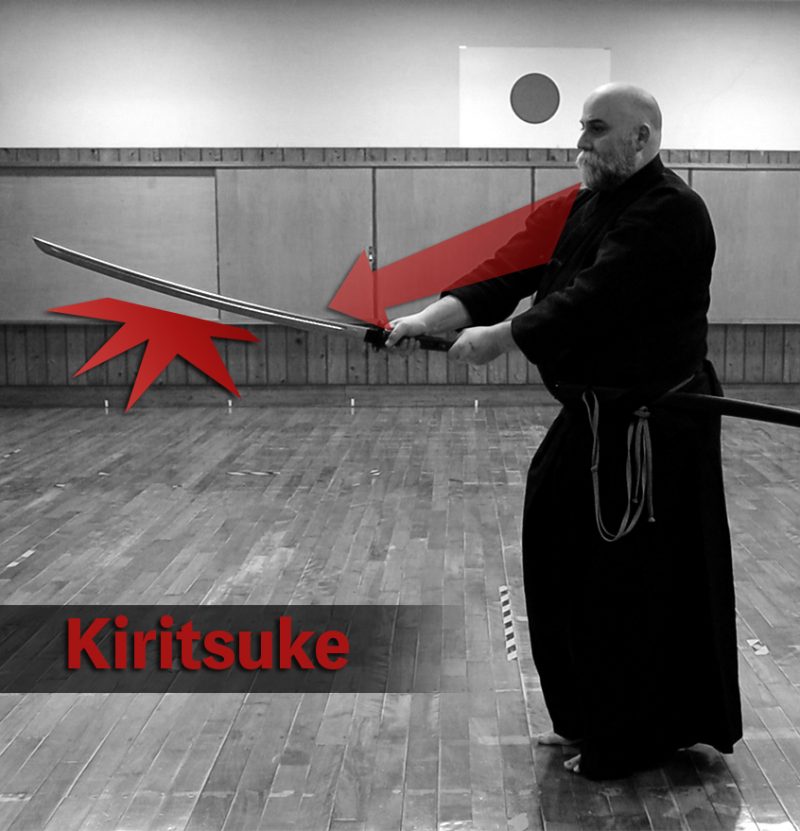 Iaijutsu or Iaidō • Shinkan Ryū Kenpō