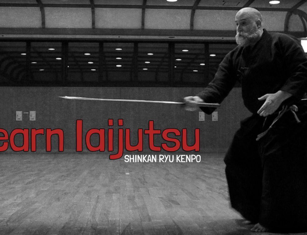 Kenjutsu Basics: How To Block • Shinkan Ryū Kenpō