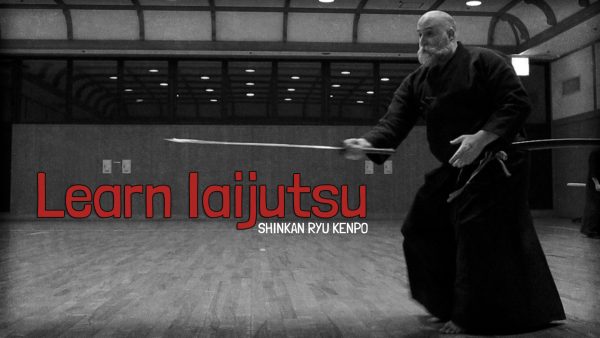 Kenjutsu Basics: How To Block • Shinkan Ryū Kenpō