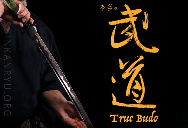 Kata: Classical Japanese Samurai Training Method • Shinkan Ryū Kenpō