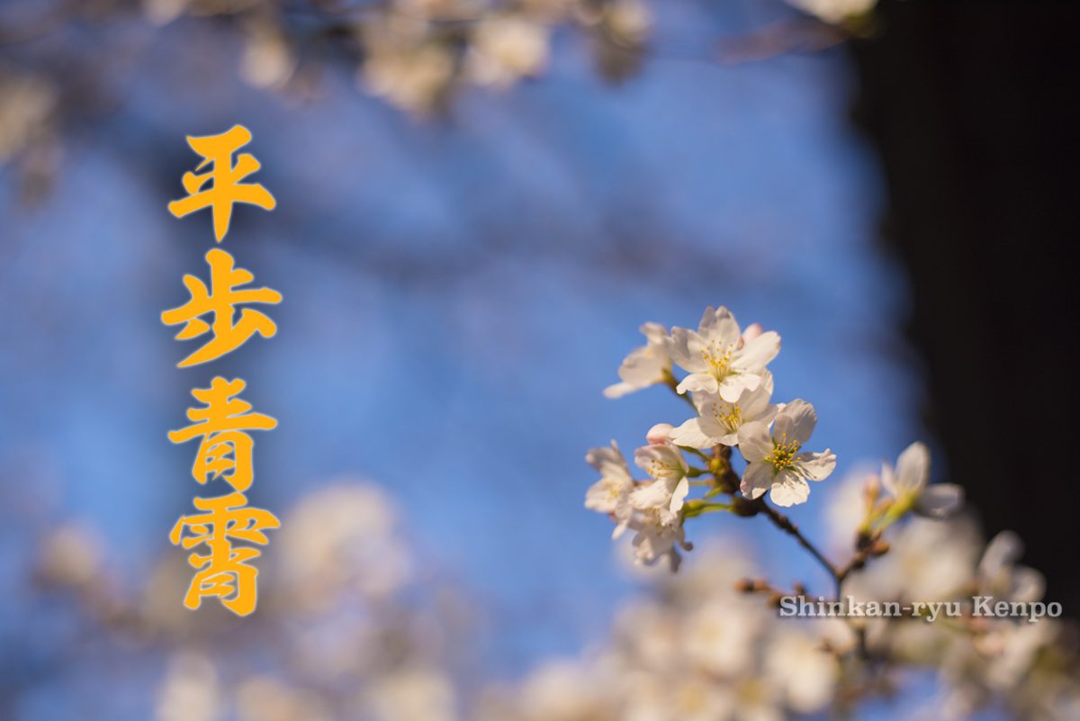 Kata: Classical Japanese Samurai Training Method • Shinkan Ryū Kenpō