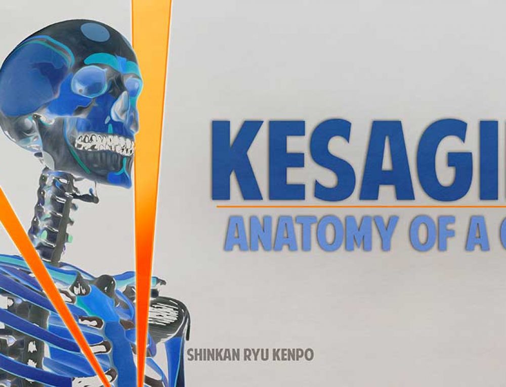 Kenjutsu Basics: How To Block • Shinkan Ryū Kenpō