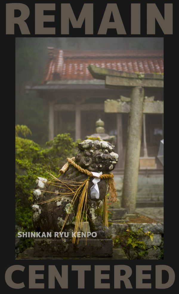 What do I need to study bujutsu? • Shinkan Ryū Kenpō