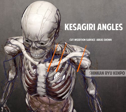 Kesagiri: Anatomy of A Sword Strike • Shinkan Ryū Kenpō