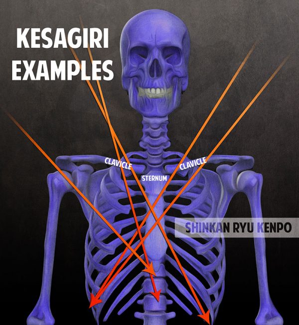 Kesagiri: Anatomy of A Sword Strike • Shinkan Ryū Kenpō