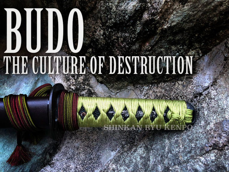 Kata: Classical Japanese Samurai Training Method • Shinkan Ryū Kenpō