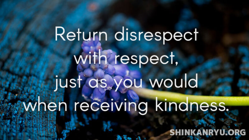 Respect is a two way street in martial arts • Shinkan Ryū Kenpō