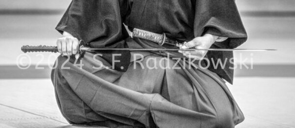 Teaching yourself Iaido and Swordsmanship • Shinkan Ryū Kenpō